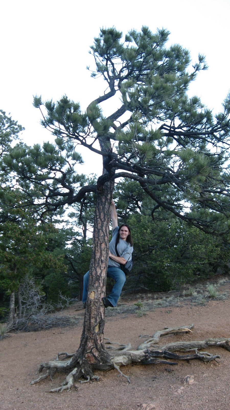 Jason Tree-Climbing in Colorodo in his Black KSO Vibram Five Fingers